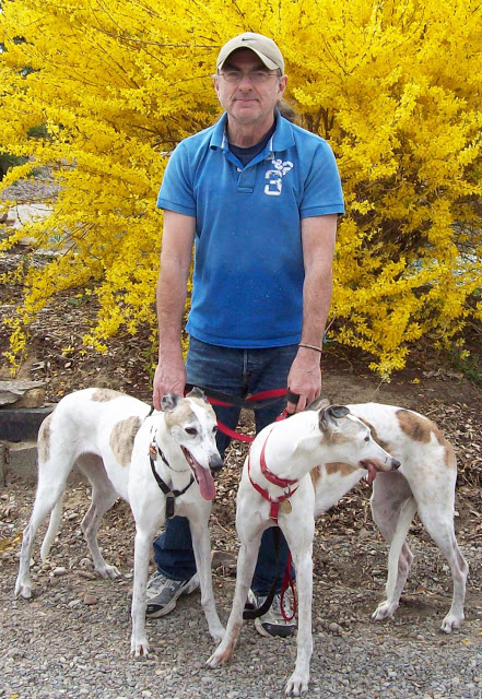 THE GRANDDADDY OF ‘EM ALL! Greg Shoemaker on the ‘Japanese Fantasy Film ...